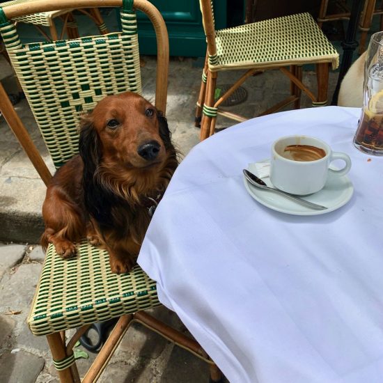 7 Best French Department Stores in Paris