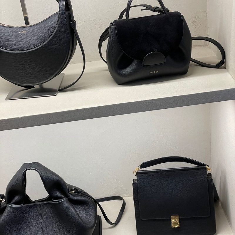 Polène Numéro Un Bag Review